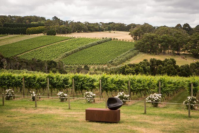 Estate to Plate: Montalto Vineyard Gourmet Lunch and Wine-Tasting Tour - The Sum Up