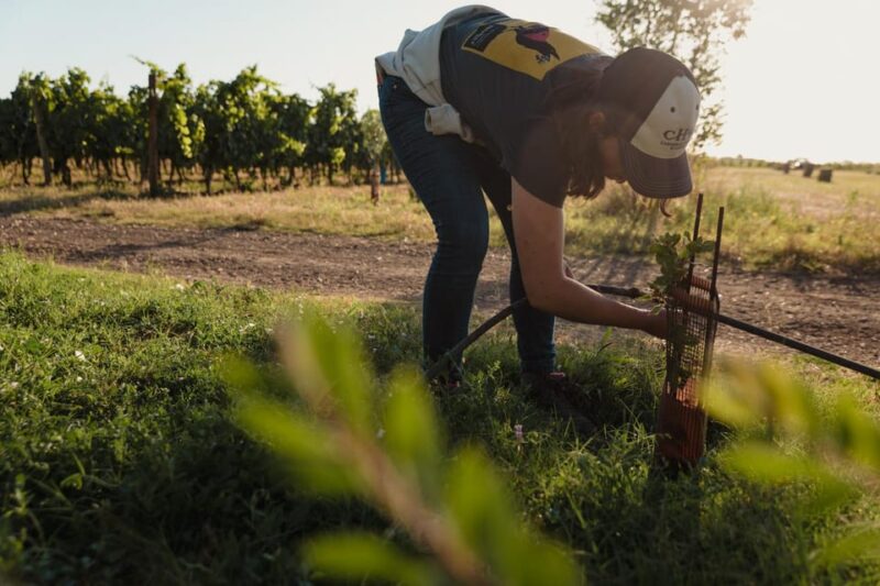 Estate tour and tasting - Key Points