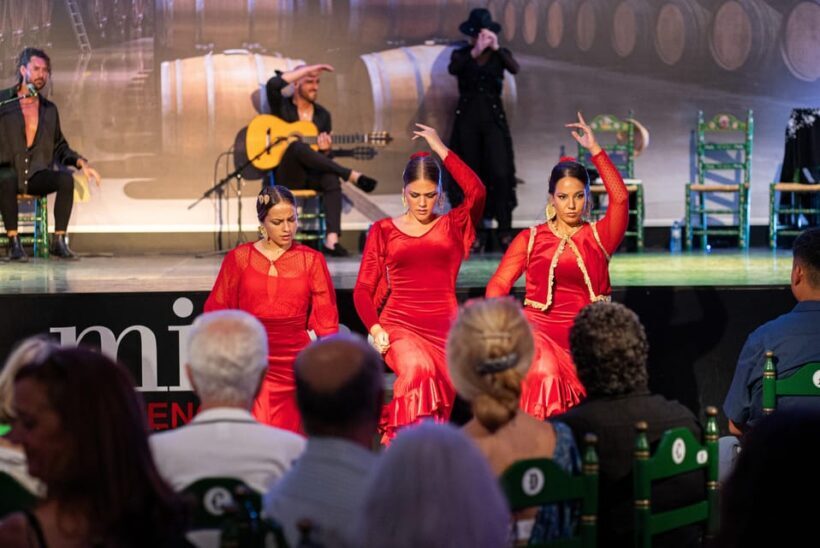 Estepona: Andalusian Flamenco Show Entry Ticket with Drink - Key Points