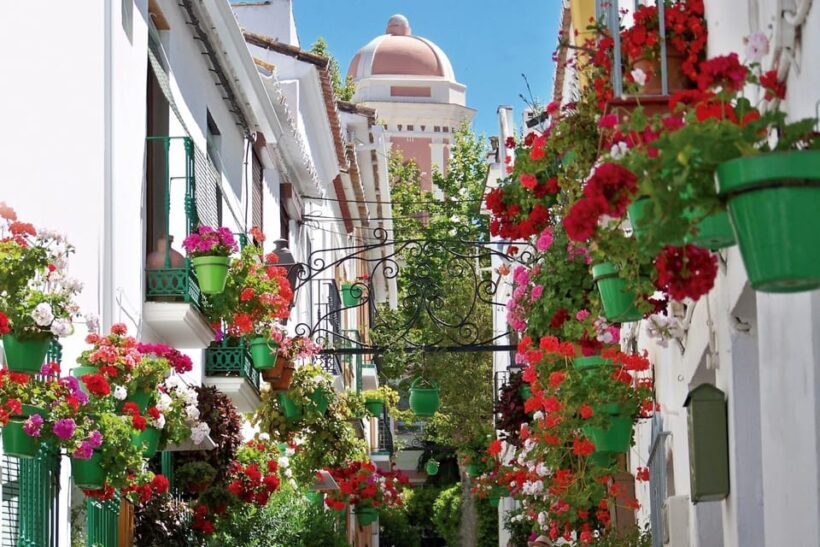 Estepona best kept secrets: City bike guided tour - FAQ
