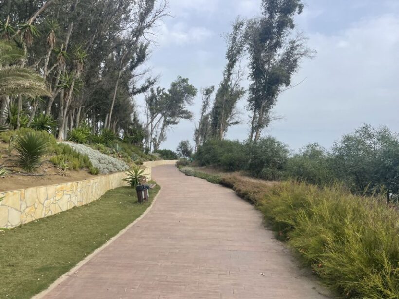 Estepona Bike Tour - Final Thoughts: Is It Worth It?