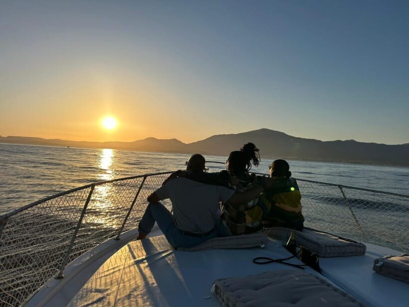 Estepona: Dolphin Searching Sunset Cruise with Drink & Snack - Detailed Breakdown of the Itinerary