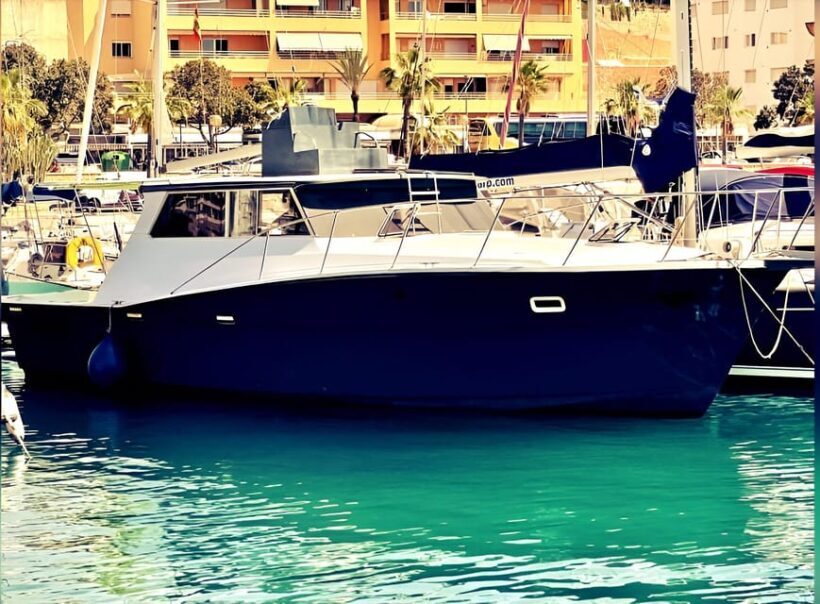 Estepona: Dolphin Searching Sunset Cruise with Drink & Snack - The Sum Up