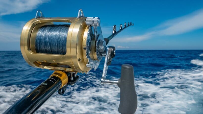 Estepona: Fishing Tour StartFisher 1060 - Introduction