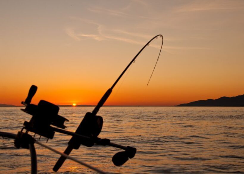 Estepona: Fishing Tour StartFisher 1060 - The Sum Up