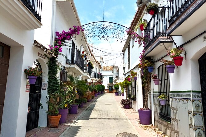 Estepona Private Walking Tour - FAQs