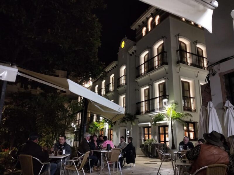 Estepona Walking Tour - City History, Culture & Gastronomy - Key Points