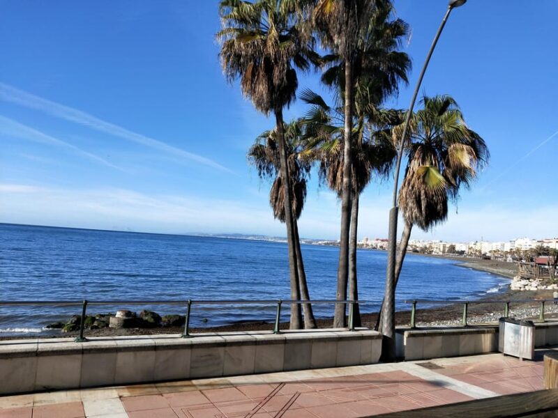 Estepona Walking Tour - City History, Culture & Gastronomy - The Itinerary in Detail