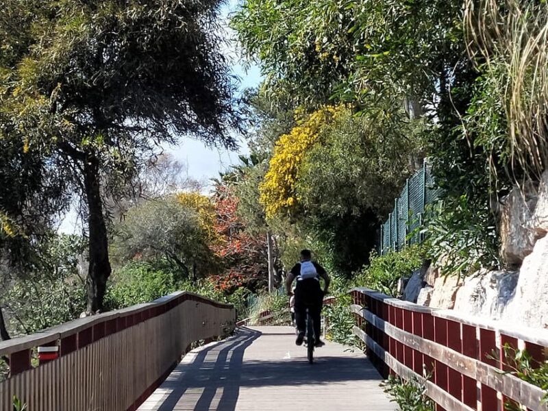 Estepona Walking Tour - City History, Culture & Gastronomy - Why This Tour Resonates with Travelers