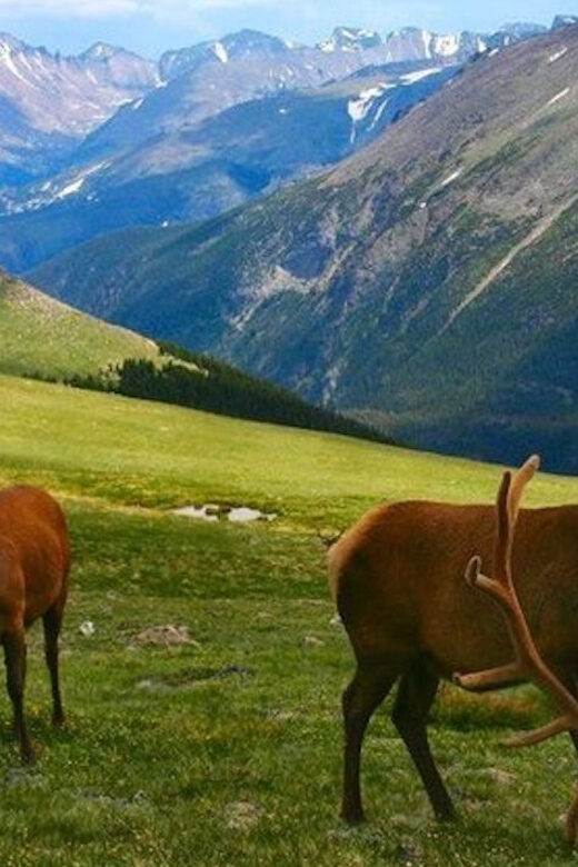 Estes Park: Bear Lake Corridor Tour - FAQs