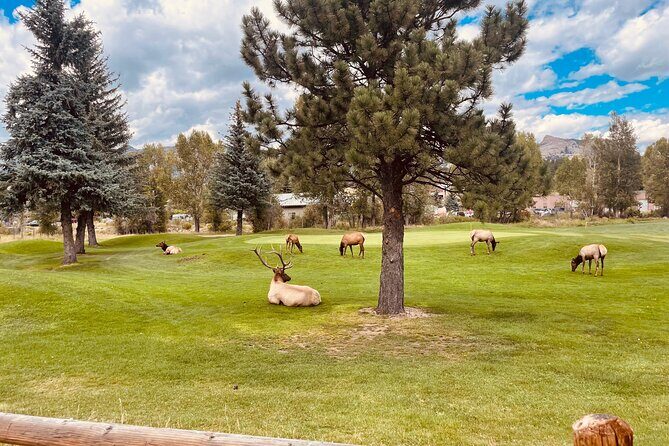 Estes Park Family e-Bike Tour - Practical Details