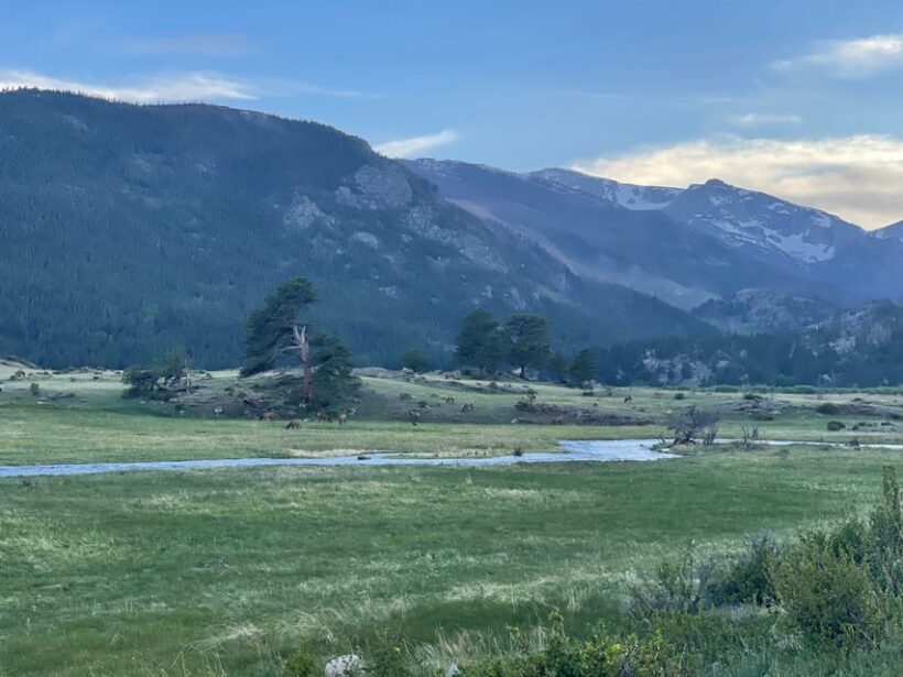 Estes Park: Guided Elk Rut Tour - An In-Depth Look at the Estes Park Elk Rut Tour
