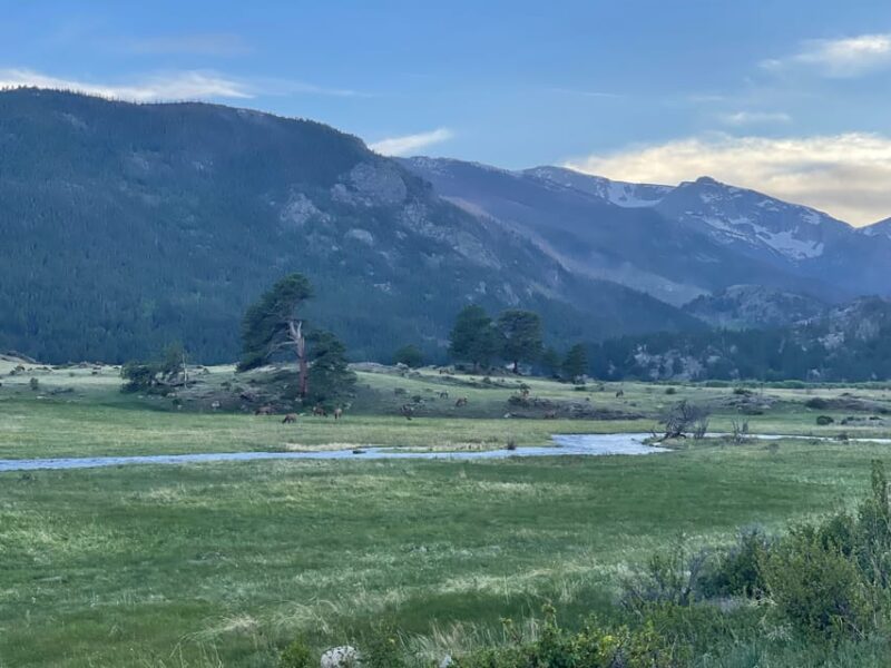 Estes Park: Guided Sunset Elk Mating Ritual Tour - How the Tour Feels