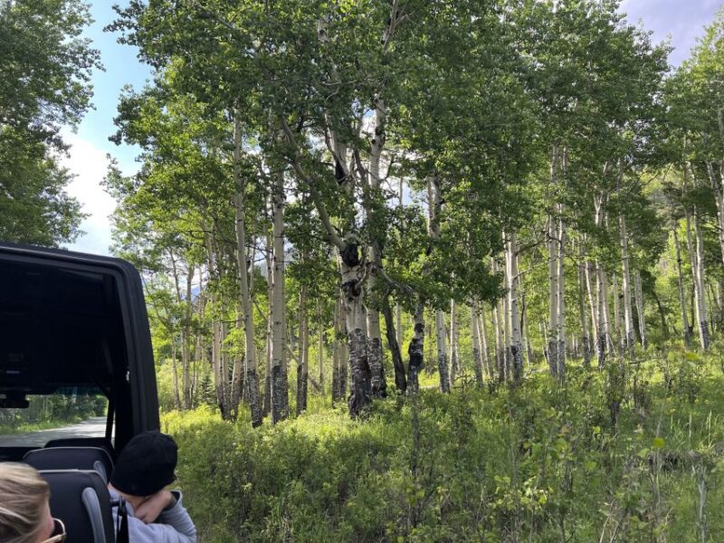 Estes Park: Rocky Mountain National Park Glass-Top Bus Tour - Price and Value: Does It Add Up?