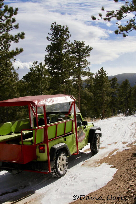 Estes Park: Rocky Mountain National Park Safari Tour - The Guides: The Heart of the Experience