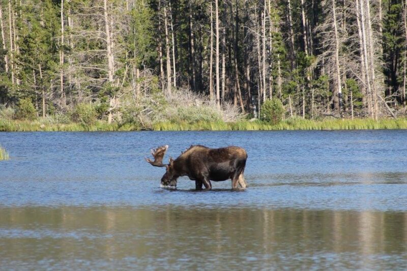 Estes Park: Waterfall Hiking Tour - Key Points