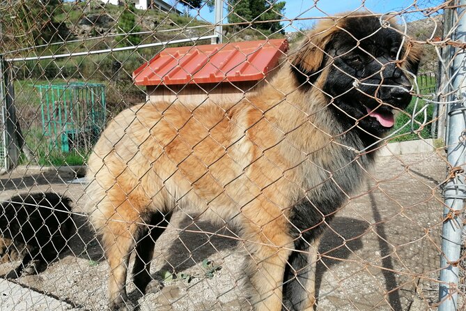 Estrela Mountain, full-day from Coimbra - FAQs