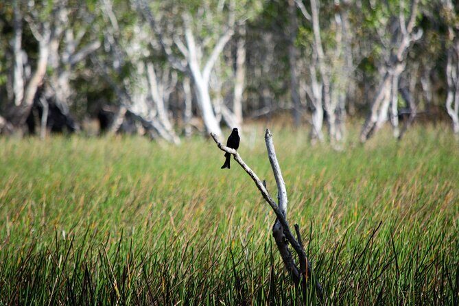 ETHICAL ADVENTURES - 1 Day premium Litchfield tour, Max 10 guests - An Overview of the Tour Experience