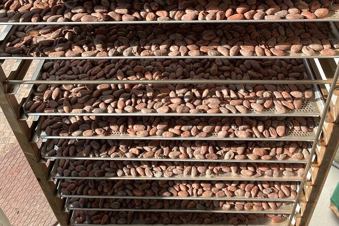 Ethical Chocolate Tour - FAQ