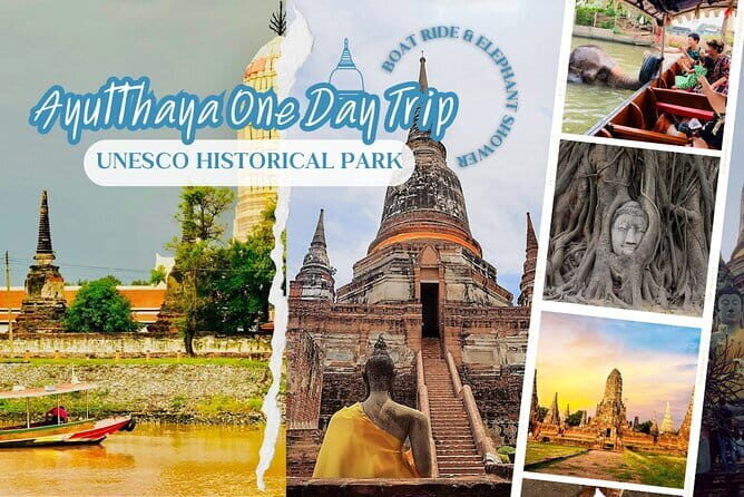Ethical Elephant Watching Tour From Bangkok & Pattaya - The Sum Up