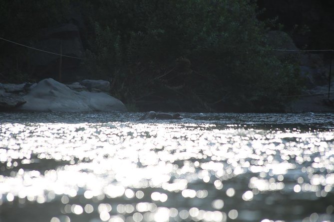 Etna & Alcantara Tour Experience - Pickup Information