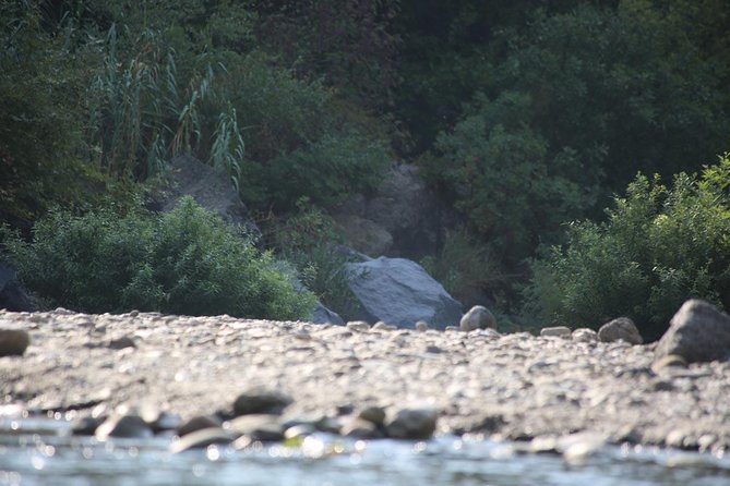 Etna & Alcantara Tour Experience - Booking and Pricing