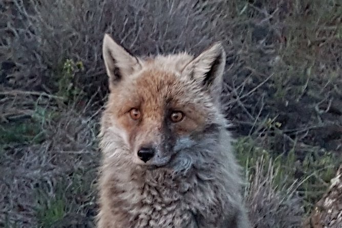 Etna and surroundings - A Detailed Look at the Itinerary