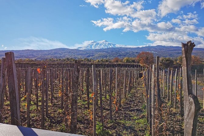 Etna and Wine: Adventure and Tasting between Craters and Cellars - What Travelers Are Saying