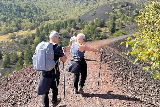 Etna and Wine: Adventure and Tasting between Craters and Cellars - Who Should Consider This Tour?