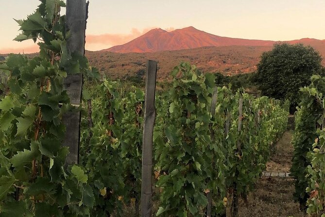 Etna and Wine: Adventure and Tasting between Craters and Cellars - FAQ