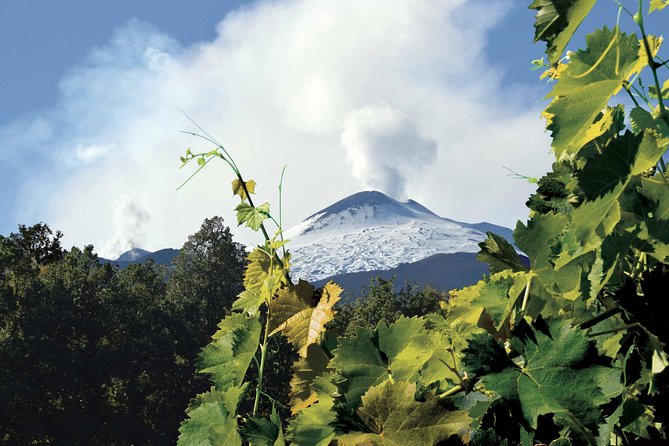 Etna and Wines Tour - Inclusions