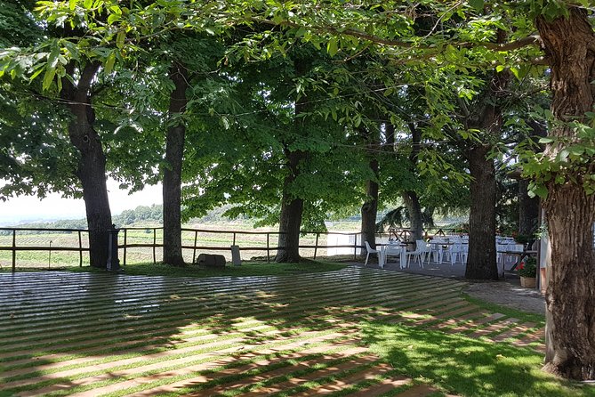 Etna Classic & Winery (day trip) - Final Thoughts: Is It Worth It?