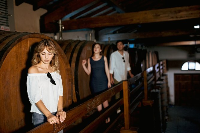 Etna Countryside Food & Wine Lovers Tour (Small Group or Private) - Final Word