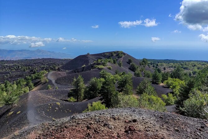 Etna excursion and wine tasting with Sicilian lunch - A Detailed Breakdown of the Itinerary: What to Expect