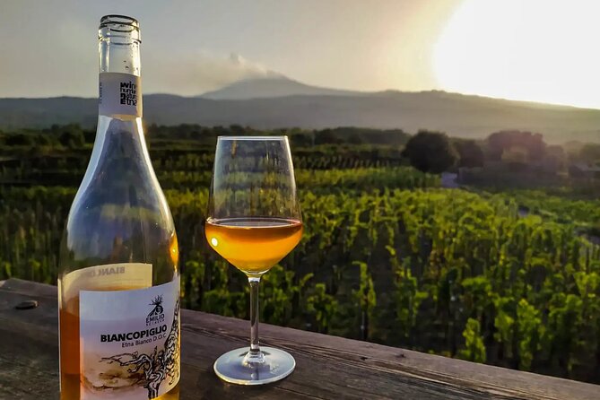 Etna excursion and wine tasting with Sicilian lunch - Transportation and Group Size: Why They Matter