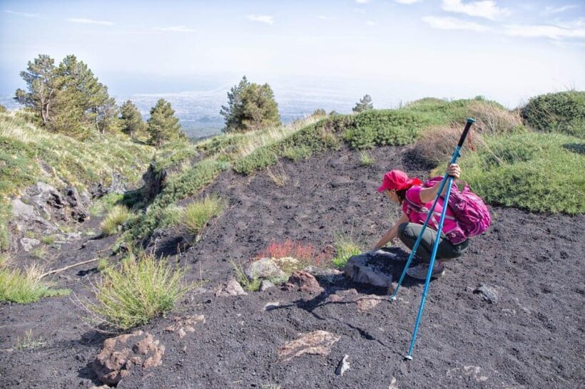 Etna Family Tour: private excursion on Etna mt. for families - FAQ