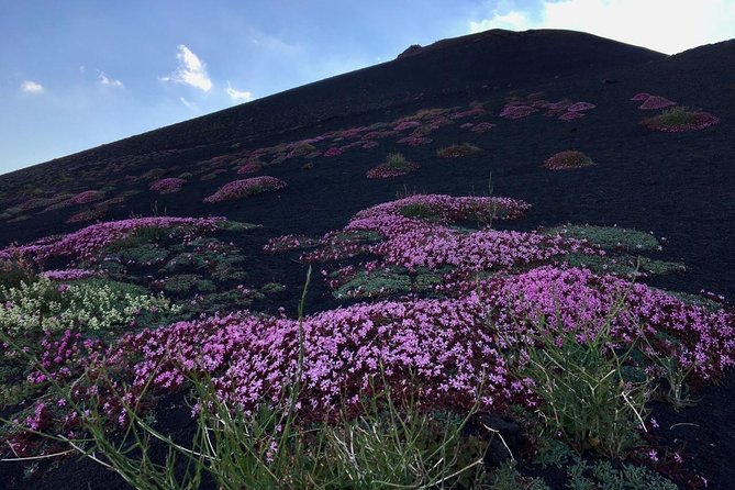 Etna Grantour - 4x4 & Trekking - Transportation and Meeting Point