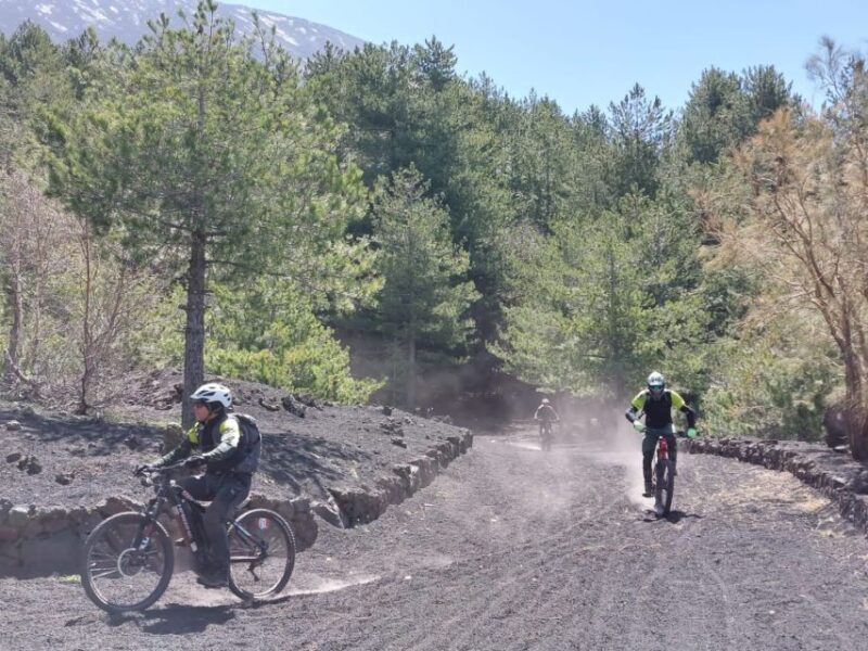 Etna: Half-Day Mt Etna Mountain Bike Tour - Customer Reviews