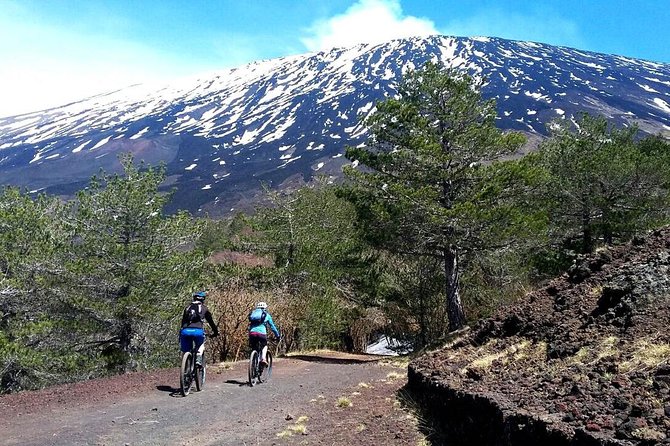 Etna in MTB Half Day Small Group - Biking Through Pine Forests