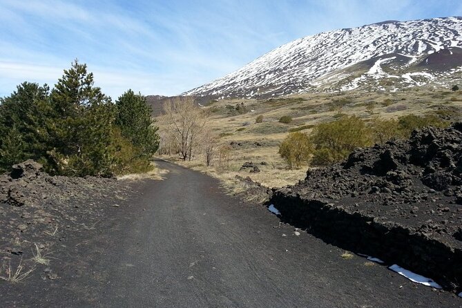 Etna Morning - Pickup Time 08:30 From Your Hotel - Pricing and Booking Options