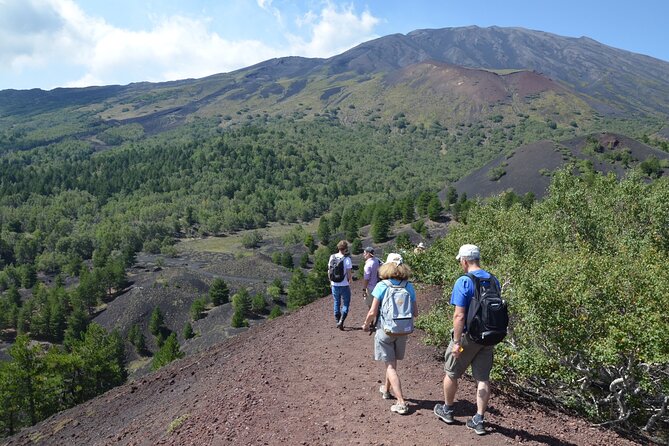 Etna Morning Tour, caves and craters - Who Should Consider This Tour