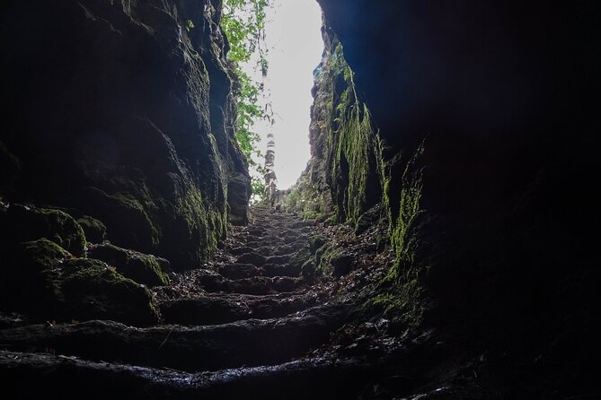 Etna Morning Tour, caves and craters - Final Thoughts: Is It Worth It?