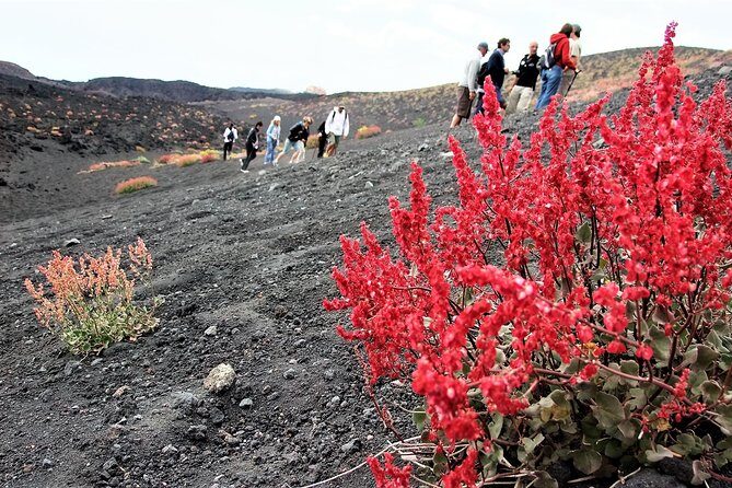 Etna Morning Trip - The Sum Up