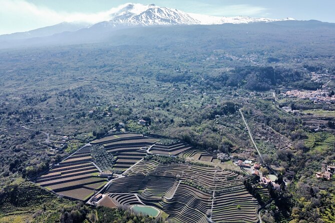 Etna Panoramic Private Tour+Wine Taste&Food Combination(AMAZING) - Key Points