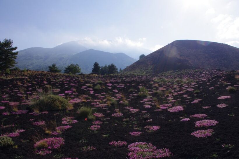 Etna Private Sunset Tour with Prosecco - The Sum Up: Why Choose This Tour?
