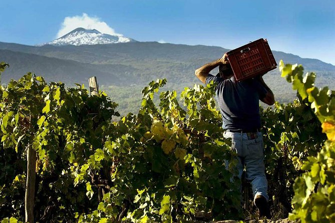 Etna Private Tour From Messina Cruise Terminal + Lunch at Winery - Itinerary Details