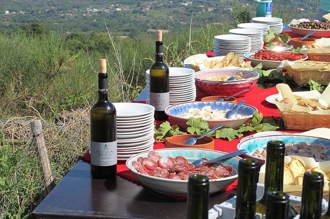 Etna Private Tour From Messina Cruise Terminal + Lunch at Winery - Health and Safety Measures