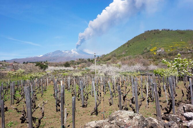 Etna Private Tour From Messina Cruise Terminal + Lunch at Winery - Booking Information and Pricing