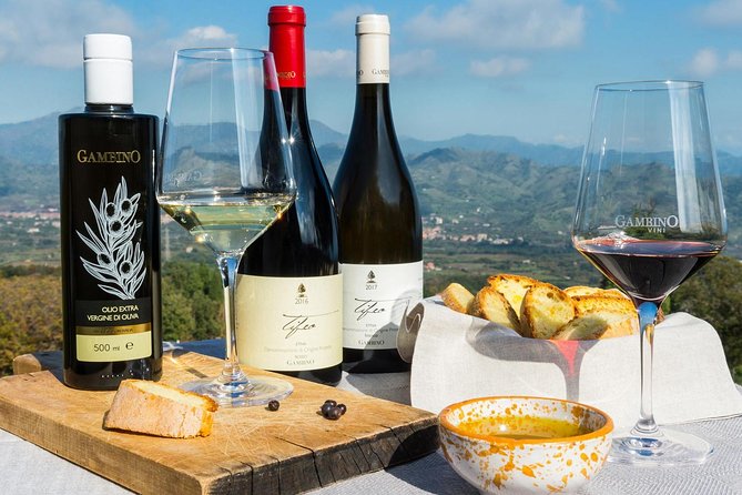 Etna Private Tour From Messina Cruise Terminal + Lunch at Winery - Since You Asked