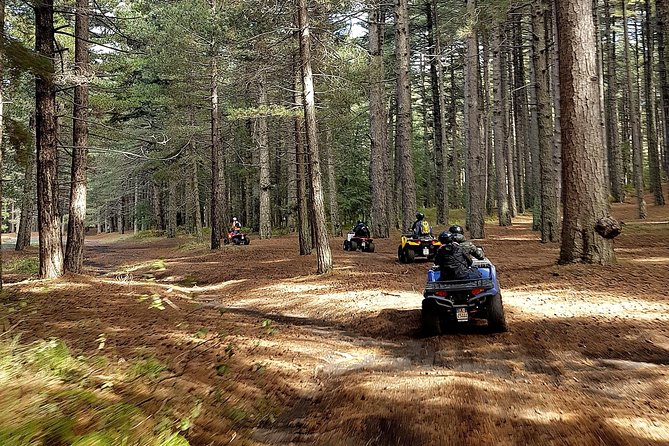 Etna Quad Tour - Half Day - Meeting Point and Participant Requirements